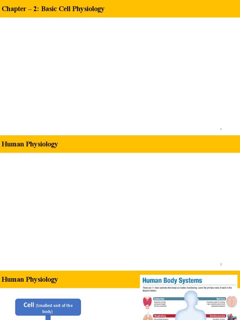 Chapter - 2: Basic Cell Physiology | PDF | Circulatory System | Cell ...