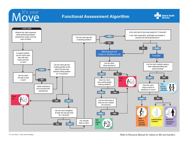 It's Your: Functional Assessment Algorithm | PDF