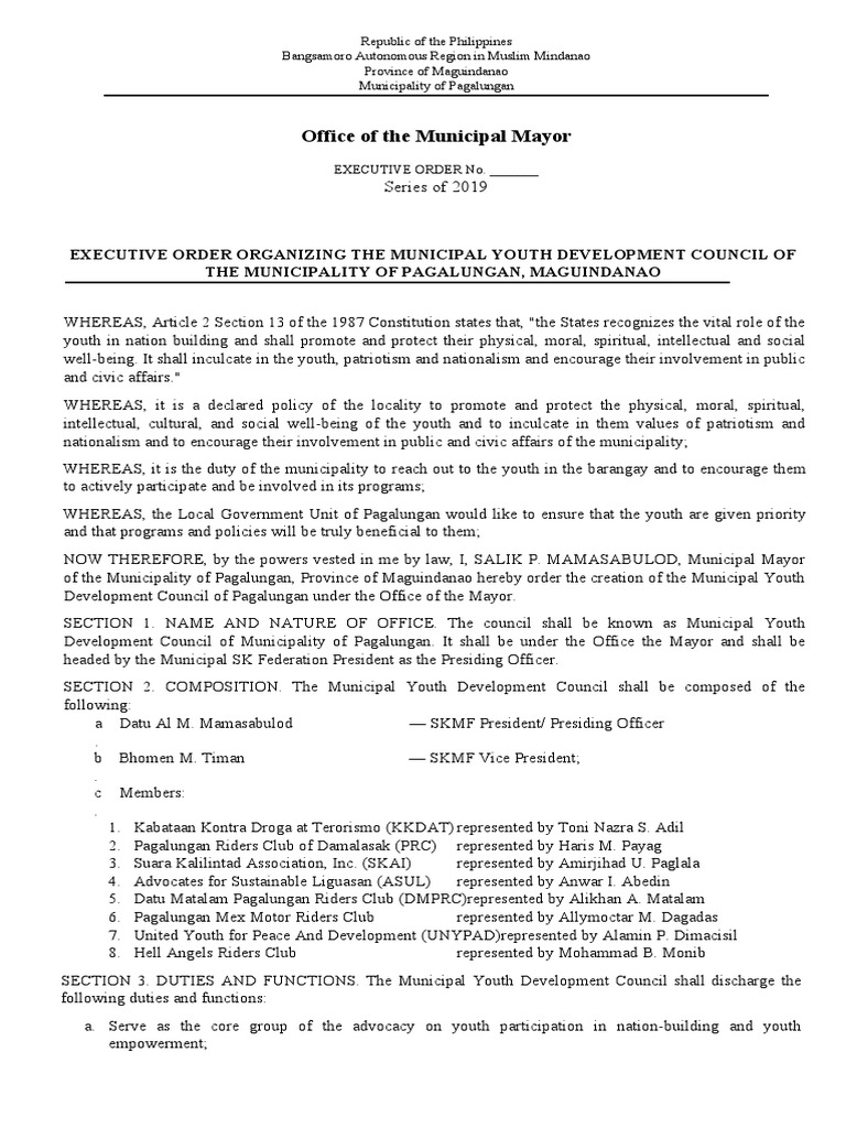 Local Youth Development Council | PDF | Government | Justice