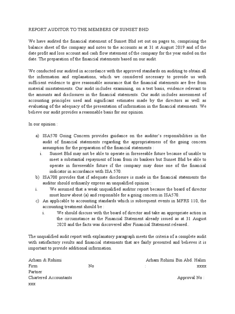 Auditor Report | PDF | Going Concern | Audit