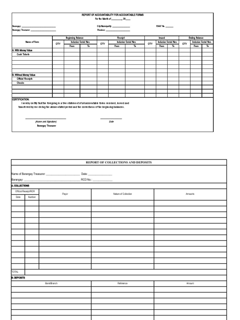 Various Forms For Brgys | PDF | Debits And Credits | Bookkeeping