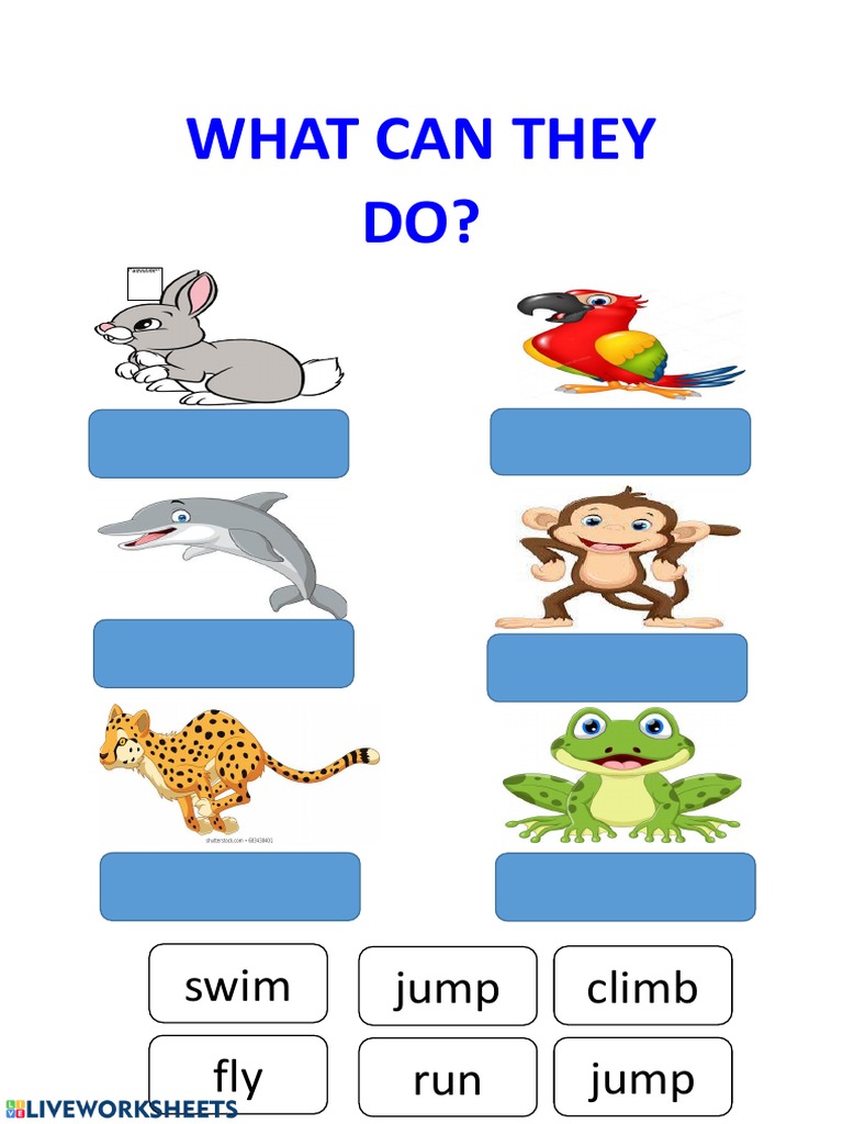What Can They DO?: Swim Fly Jump Run Climb Jump | PDF