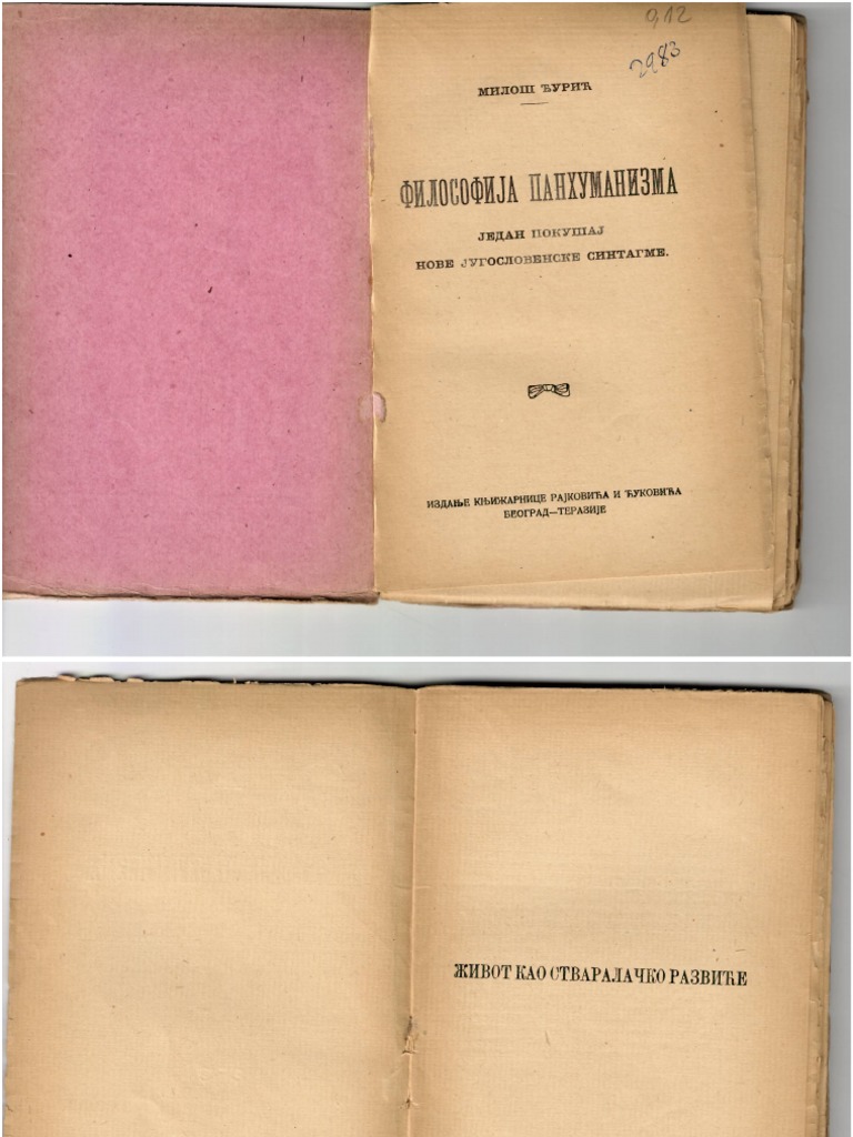 Philosophy of Panhumanism by Djuric | PDF