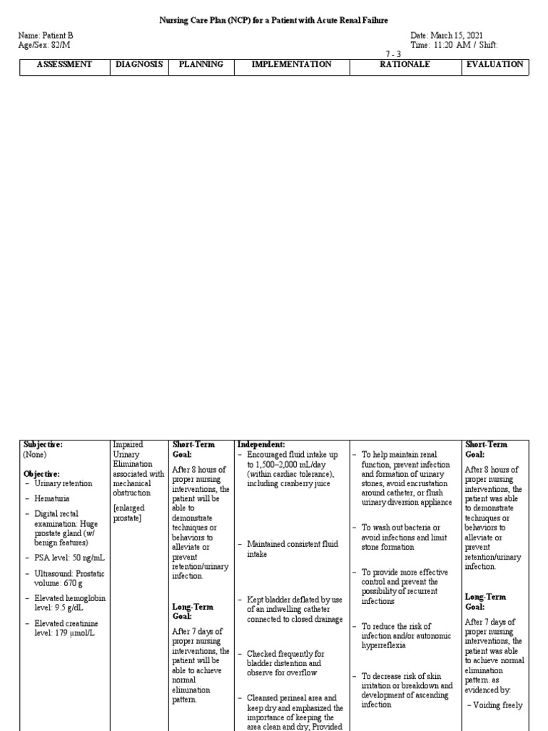 Nursing Care Plan (NCP) For A Patient With Acute Renal Failure | PDF ...