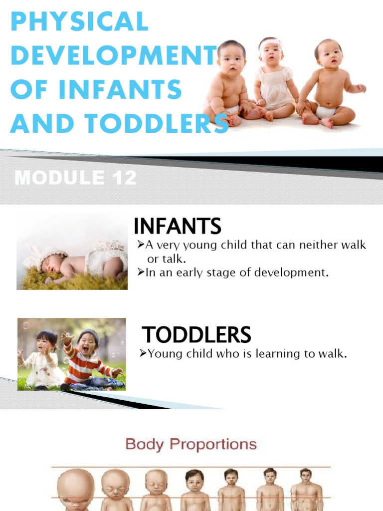 Physical Development of Infants and Toddlers | PDF | Infants | Brain