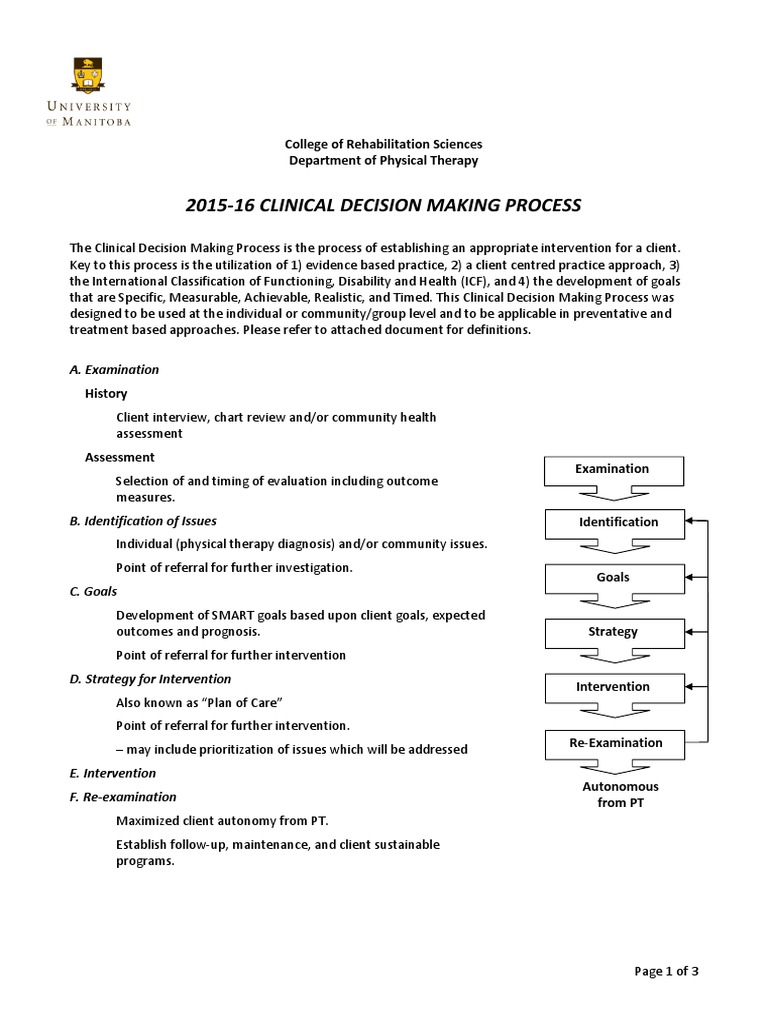 Clinical Decision Making in Physiotherapy | PDF | Physical Therapy ...
