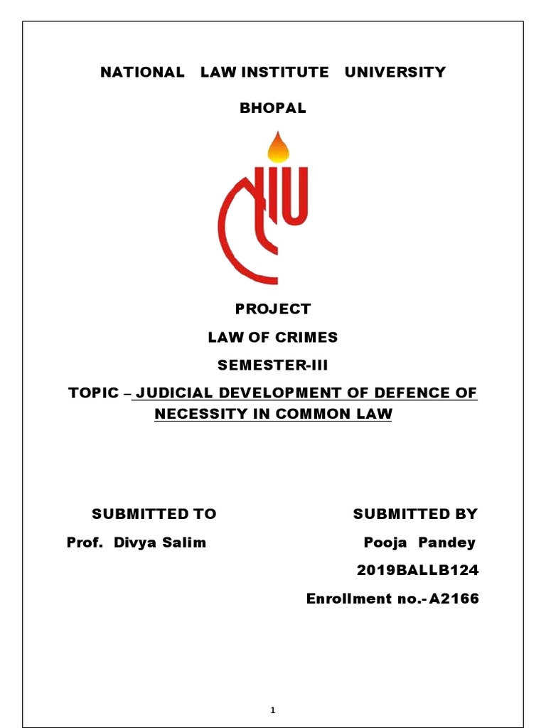 Judicial Development of Necessity Defense | PDF | Crime & Violence | Crimes