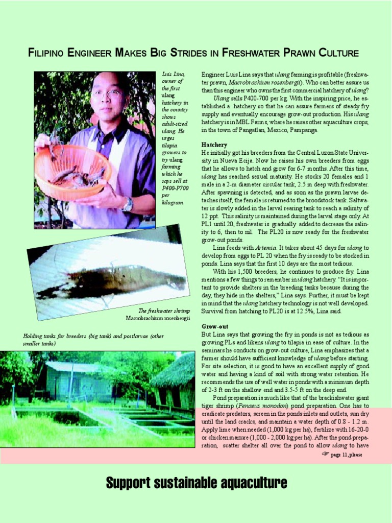 Ulang Farming 3 | PDF | Fishing Industry | Fish