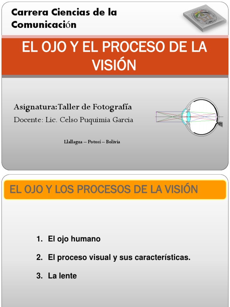 A. El Ojo y El Proceso de La Visión | PDF | Ojo humano | Percepción visual