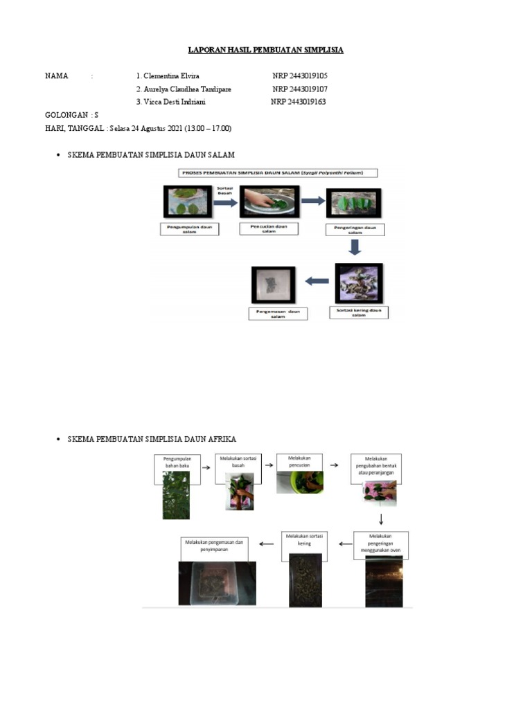 F-Pembuatan Simplisia | PDF