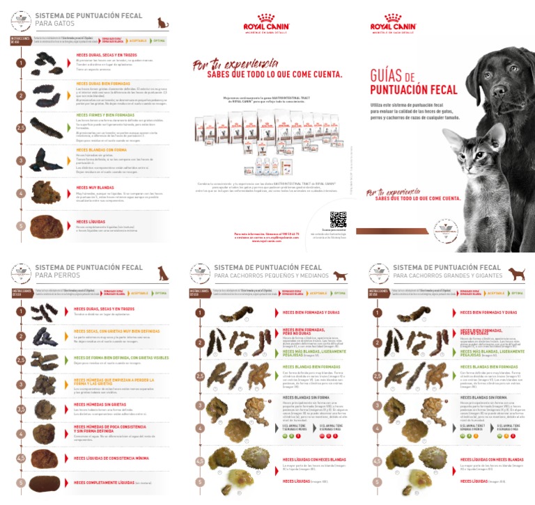 Sistema-De-Puntuacion-Fecal-Royal Canin | PDF | Heces