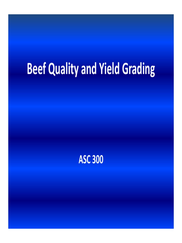 Beef Quality and Yield Grading | PDF | Animal Products | Meat