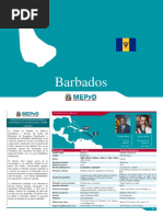 SAEE-06 Transición | PDF | Educación especial | Educación avanzada