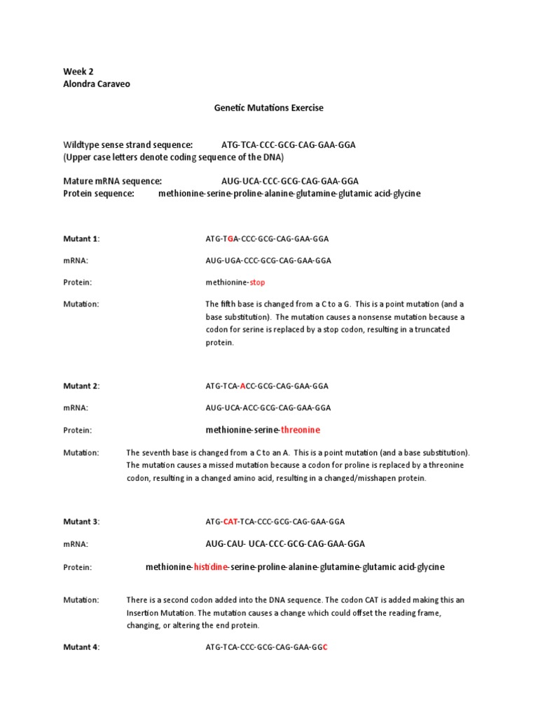 405 - WK 2 Genetic Mutations Exercise | PDF | Genetic Code | Point Mutation
