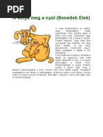 Kerdesek Es Valaszok A Dinoszauruszokrol - Olvass Bele | PDF