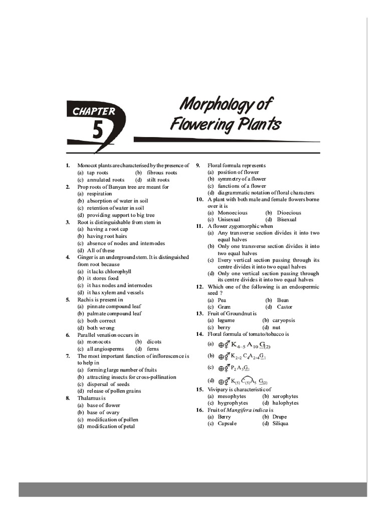 Morphology of Flowering Plants Overview | PDF | Fruit | Seed