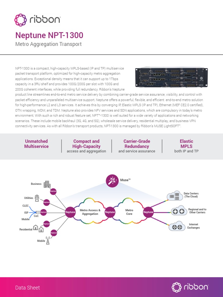 Neptune NPT-1300: Metro Aggregation Transport | PDF | Networking ...