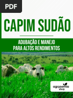 Capim Sudao | PDF | Agricultura | Agronomia