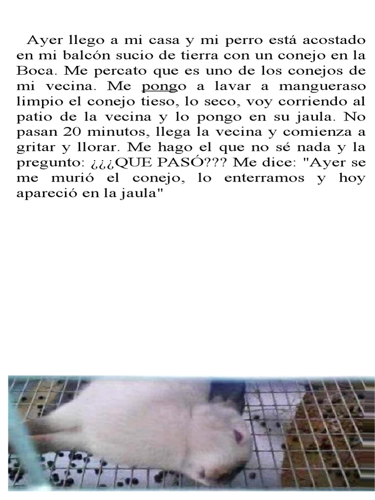 Documento Memes | PDF