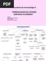 Mapa Conceptual CONAMED | PDF | Derecho