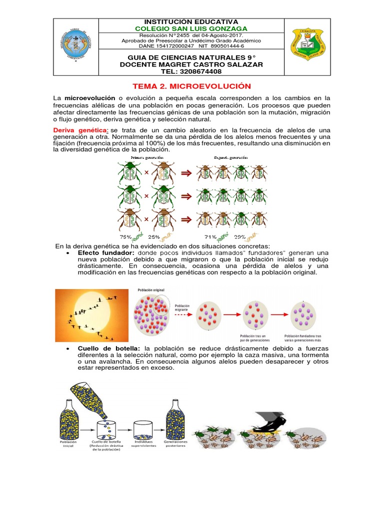 Tema 2.microevolucion | PDF | Seleccion natural | Evolución