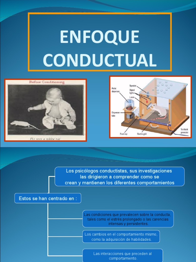El enfoque conductual en psicología: principales representantes, bases ...