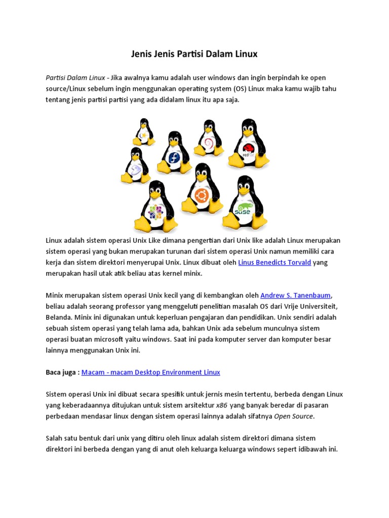 Jenis Jenis Partisi Dalam Linux | PDF