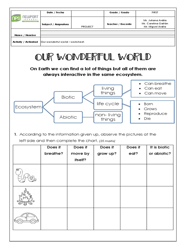 ws1 OUR WONDERFUL WORLD | PDF | Organisms | Natural Environment