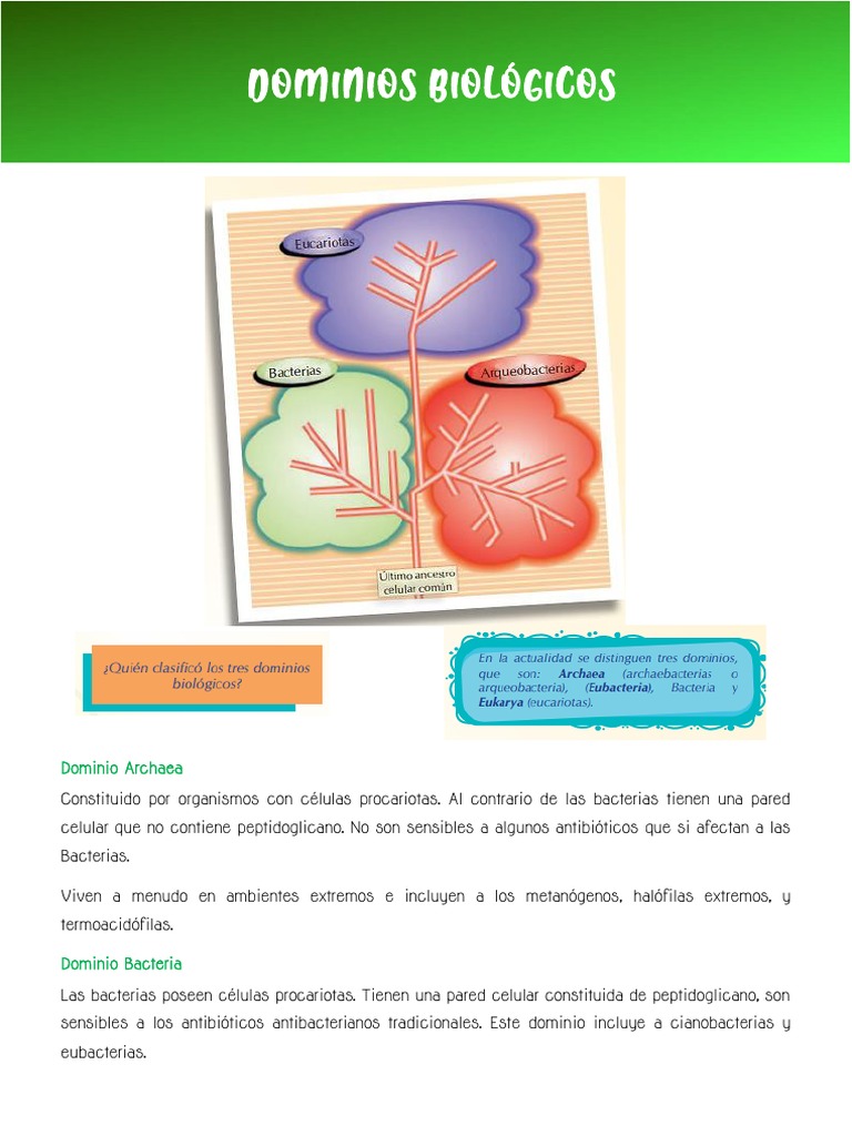 Clasificación de Dominios Biológicos | PDF | Plantas | Archaea