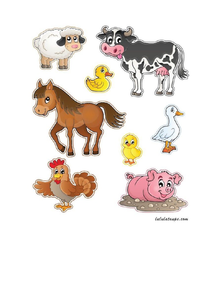 Animales Cuchis | PDF