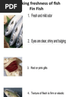 Common Cuts of Fish Explained | PDF