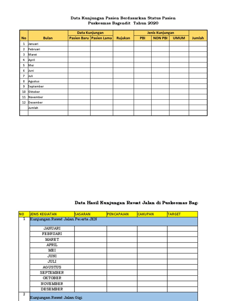 Pelaporan Kunjungan Pasien | PDF