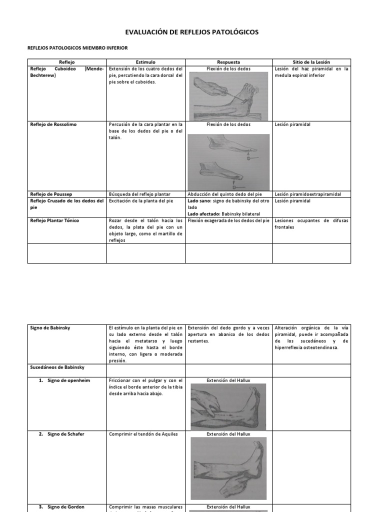 Reflejos Patológicos | PDF | Dedo del pie | Pie