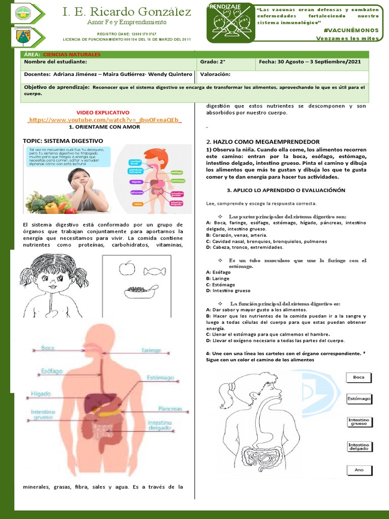 Guia-2°-C.naturales (Sem. 1) | PDF | Sistema digestivo humano | Estómago
