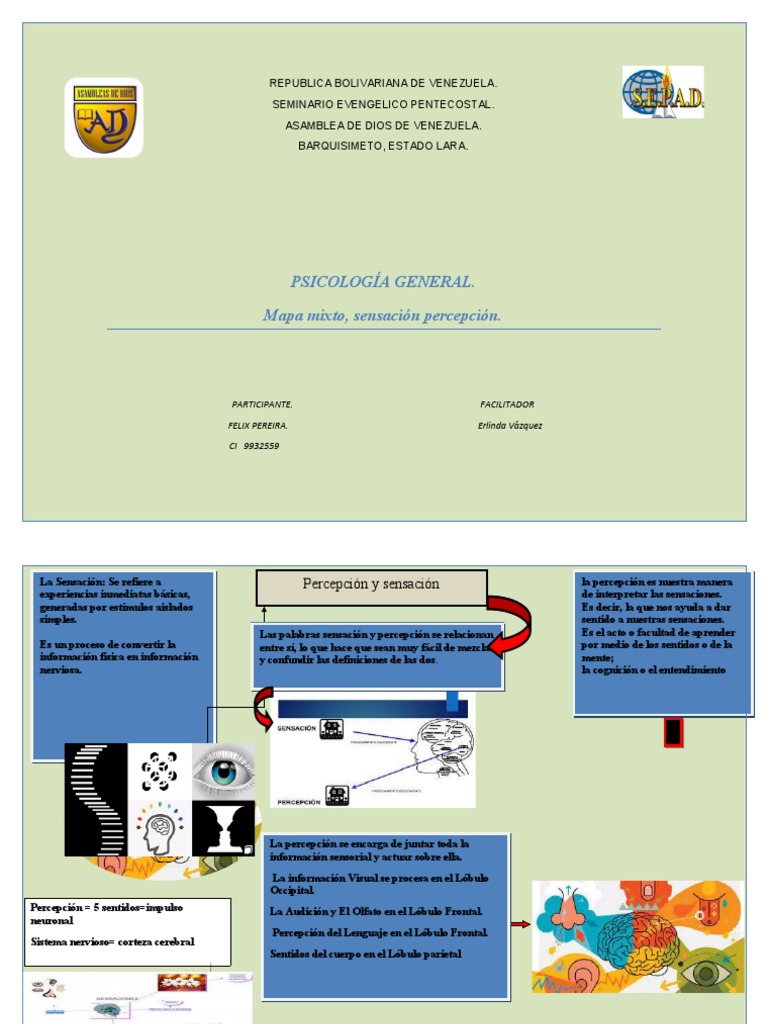 Mapa Mixto | PDF | Percepción | Sentidos