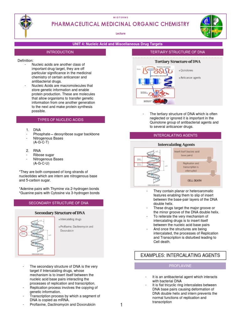 Understanding Nucleic Acid Drug Targets: An Overview of Intercalating ...