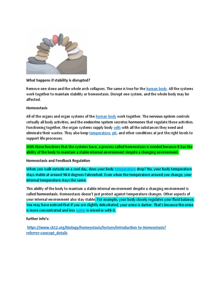 What Happens If Stability Is Disrupted?: Human Body | PDF | Homeostasis ...
