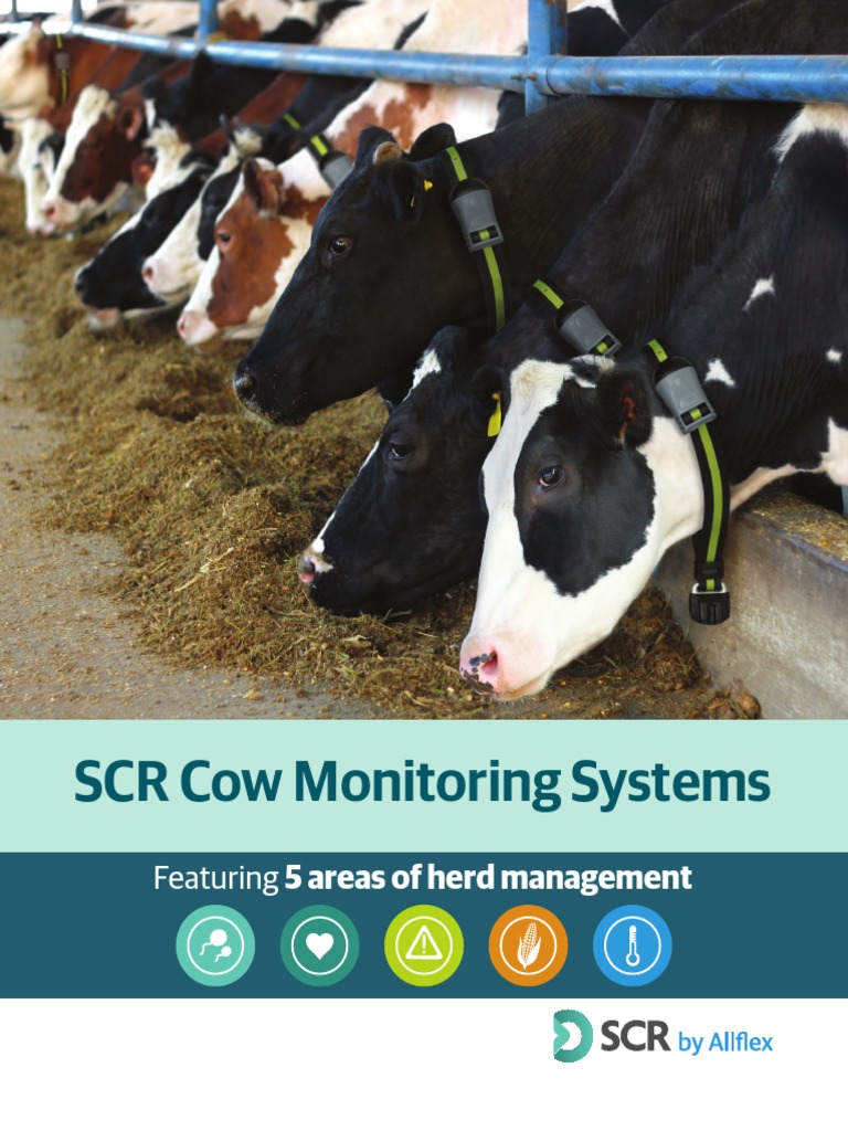 SCR Cow Monitoring Systems | PDF | Dairy Cattle | Cattle