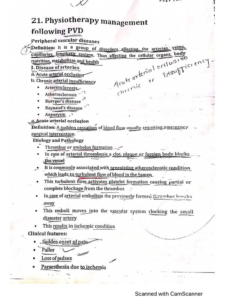Physiotherapy Management Following PVD | PDF