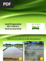 Overview of Palay Check | PDF | Rice | Agriculture