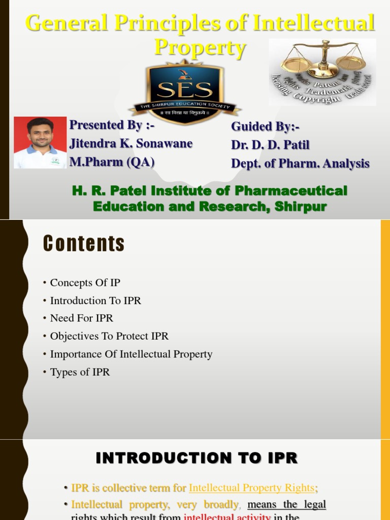 General Principles of Intellectual Property Rights: An Overview of ...