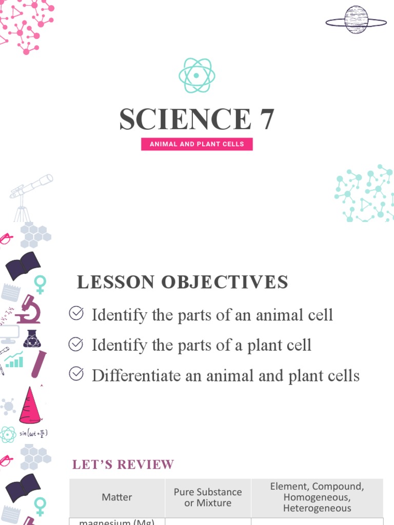Science 7 - Animal and Plant Cell | PDF