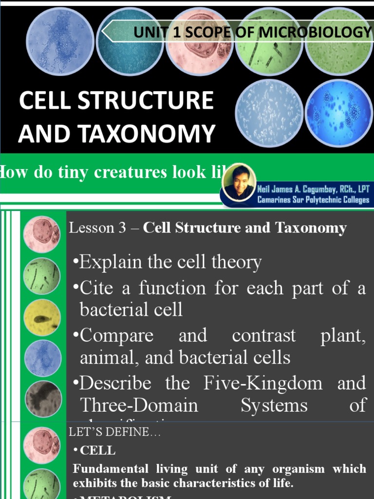 Unit 1 Lesson 3 Cell Structure and Taxonomy | PDF | Cell (Biology ...