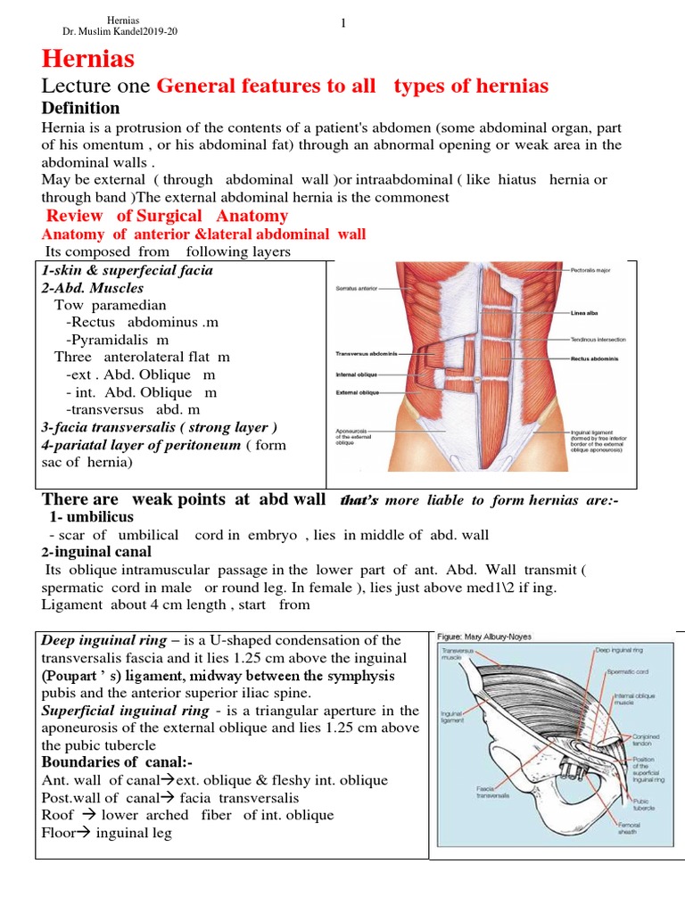 Hernias: General Features To All Types of Hernias | PDF | Medical ...