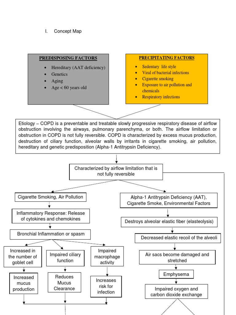 Concept Map COPD | PDF | Chronic Obstructive Pulmonary Disease | Lung