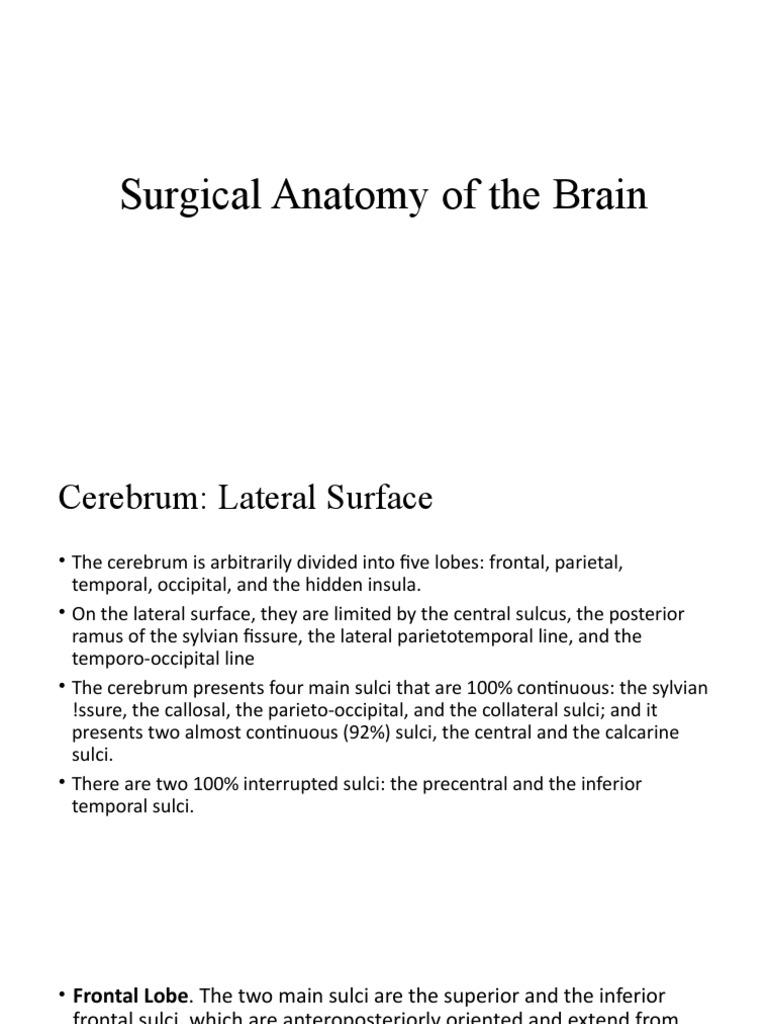 Anatomy of Cerebrum and Cerebellum | PDF | Parietal Lobe | Frontal Lobe