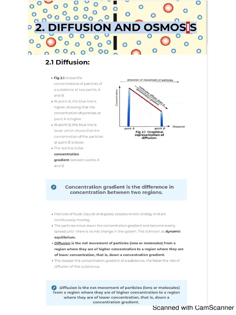 Diffusion, Osmosis and Active Transport O Levels Biology Notes | PDF