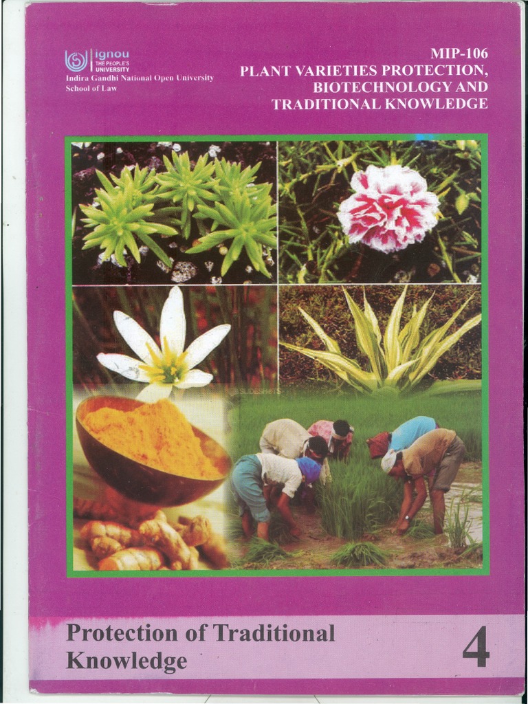 Protection of Traditional Knowledge | PDF | Traditional Knowledge ...