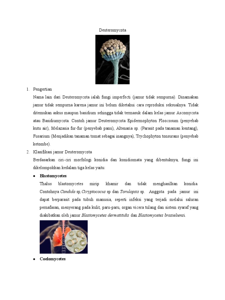 Deuteromycota | PDF