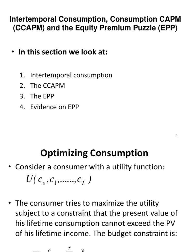 CCAPM EPP 2017 Final Slides | PDF | Risk Premium | Microeconomics